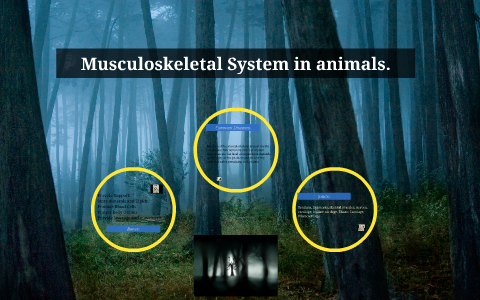 Musculoskeletal System in animals. by Javier Corral on Prezi