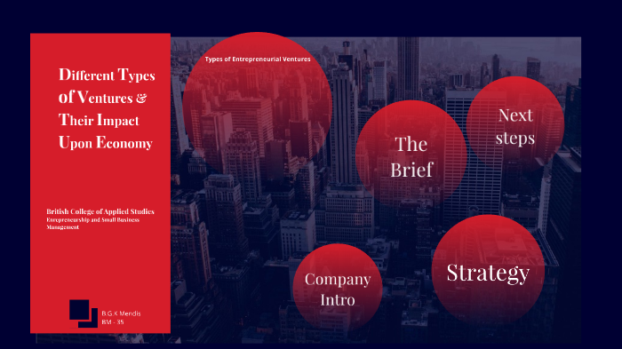 Different Types of Ventures and their impact upon the economy by Gihan ...