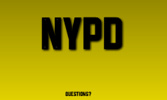NYPD by Mark Rimer on Prezi