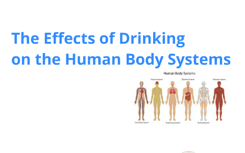 Effects of Alcohol on the Human Body Systems by philip amesoeder on Prezi