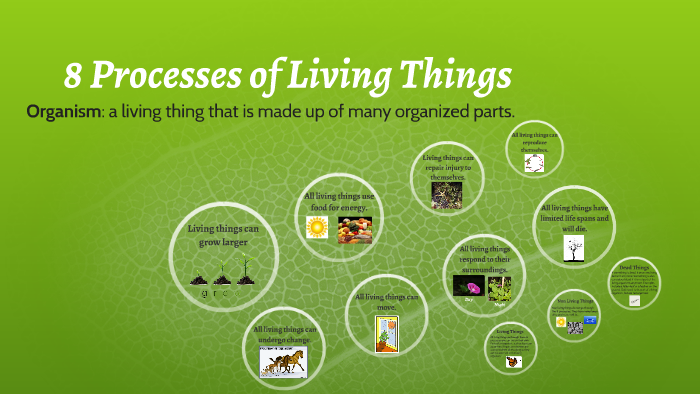 8 Properties of Living Things by Samantha Lally on Prezi