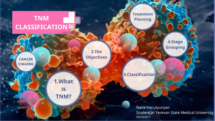 TNM Classification by Nane Harutyunyan on Prezi