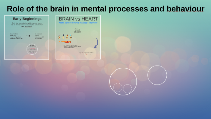 Role of the Brain in mental processes and behaviour by Jasmeyn Brooks