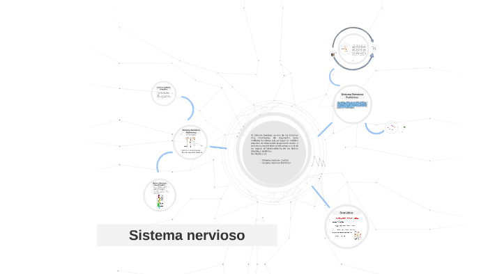 Sistema nervioso periferico by valentina ortiz on Prezi