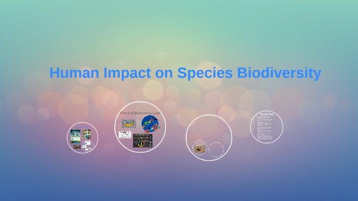 Human Impact on Global Biodiversity by Amanda Yang on Prezi