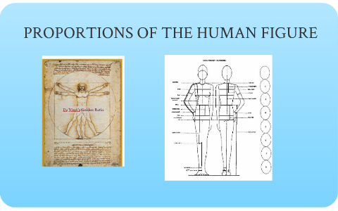 Proportions of the Human Figure by Loni Becker