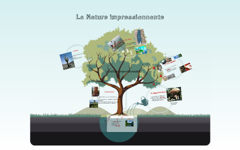 La Nature impressionnante by Caleb Lapointe