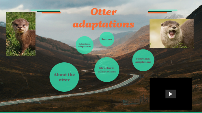 OTTER ADAPTATIONS by javier camacho on Prezi