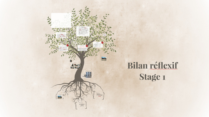 Bilan réflexif by Jimmy Chérubin on Prezi