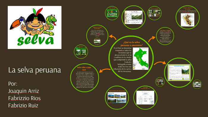 la selva peruana by CarlosRoberto Ruiz Ibañez on Prezi