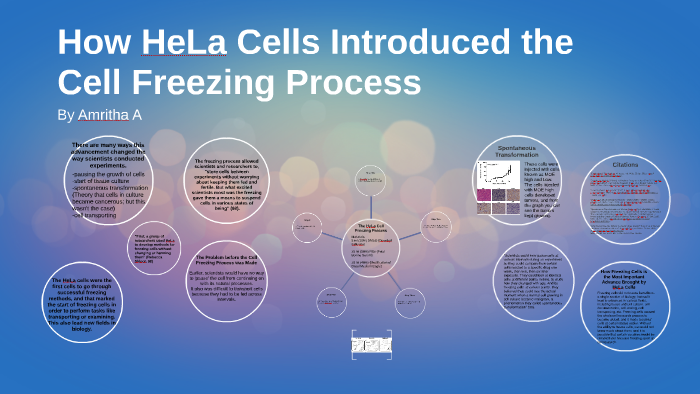 How HeLa Cells Introduced the Cell Freezing Process by Amritha A