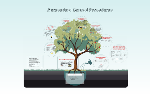 Antecedent Control Procedures by Lindsay Husen on Prezi
