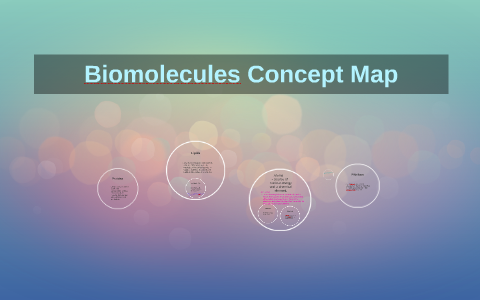Biomolecules Concept Map by Esmeralda Fernandez