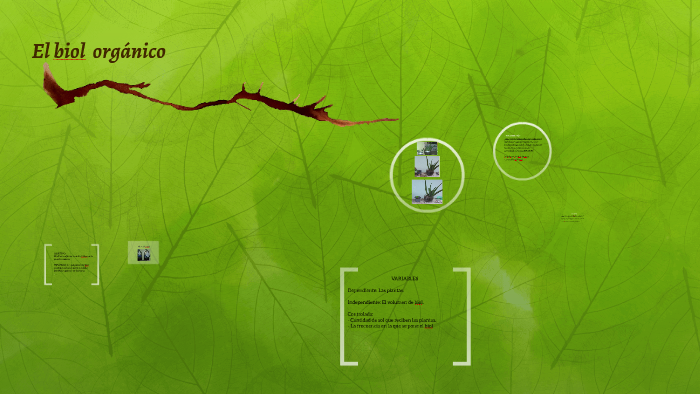 1.- TEMA: El biol abono orgánico natural para mejorar la pro by ...