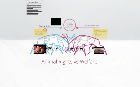 Animal Rights vs Welfare by Abby Chitwood on Prezi