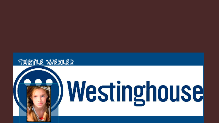 Turtle wexler by Nicolas Martis on Prezi