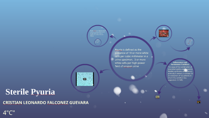 Sterile Pyuria by Fernanda Troya on Prezi