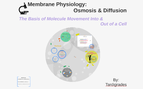 Diffusion & Osmosis by Caitlin Pierson on Prezi