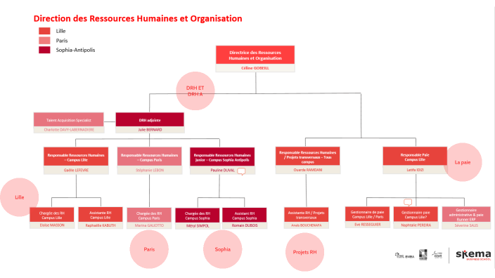 TEST Organigramme DRH by Lisa Bouchenafa on Prezi
