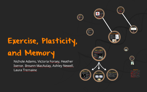 Exercise, Plasticity, and Memory by Heather Isenor on Prezi