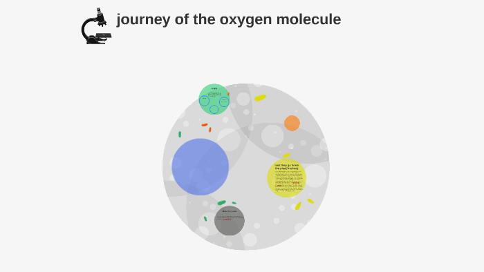 journey of the oxygen molecule by joseph abila