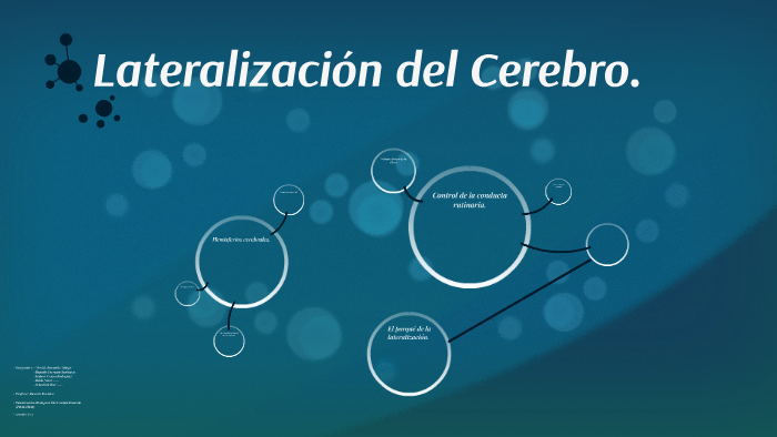 Lateralización del Cerebro. by Nicolás Basualdo