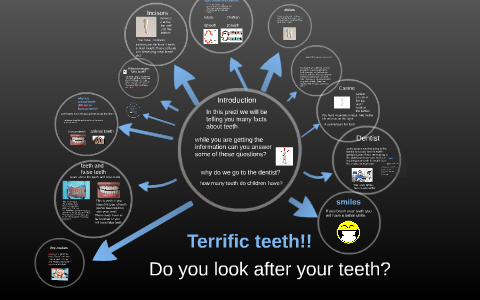 Terrific Teeth!! by Neil Willis on Prezi