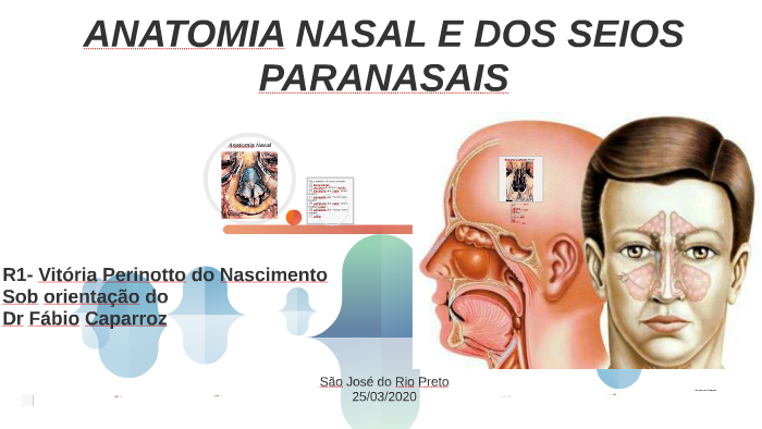 ANATOMIA NASAL E DOS SEIOS PARANASAIS by HIORP Hospital Otorrino on Prezi
