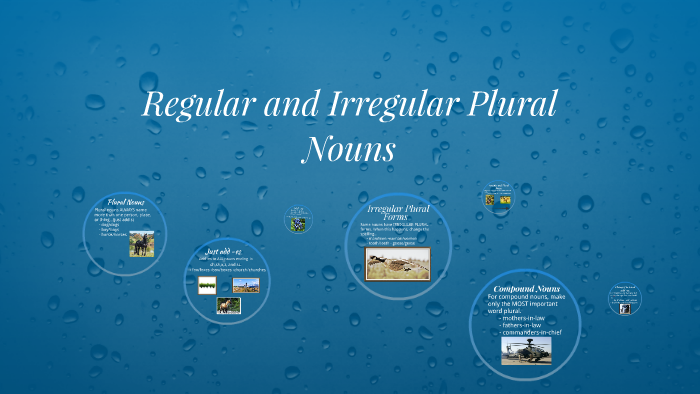 Regular and Irregular Plural Nouns by Nicole Fair on Prezi