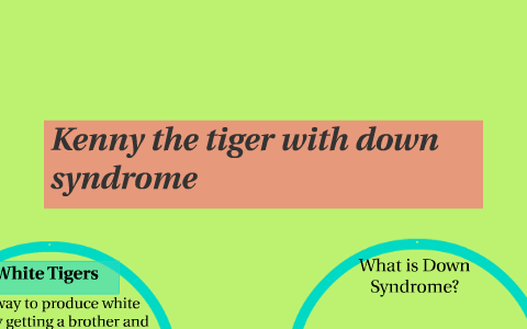 Kenny the tiger with down syndrome by Hannah Stuart on Prezi