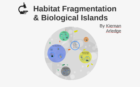Habitat Fragmentation & Biological Islands by Spencer Reid on Prezi