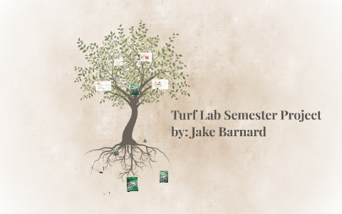 Turf Lab Semester Project by Jake Barnard on Prezi