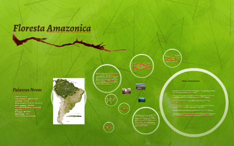 Floresta Amazonica by Steven Disla on Prezi