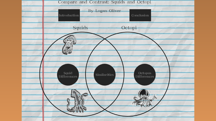 Compare and Contrast: Squids and Octopi by Logan Oliver on Prezi