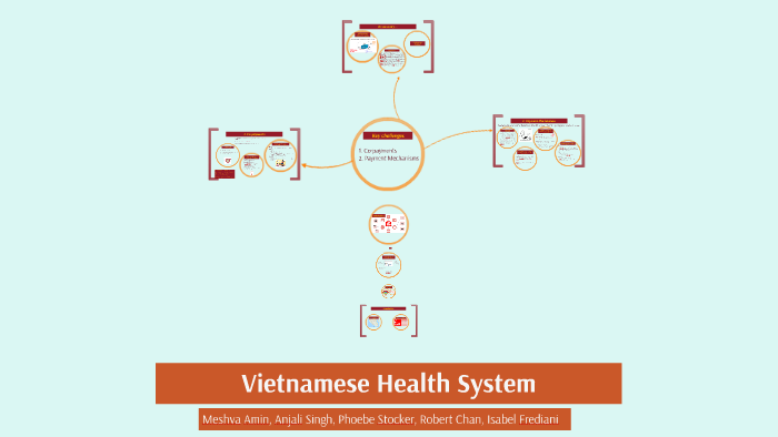 Vietnamese Health System by Phoebe Stocker on Prezi