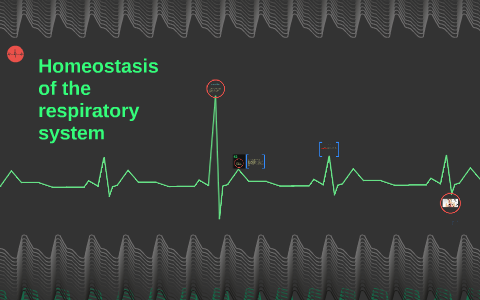 Homeostasis of the respiratory system by Ritika Jeloka on Prezi