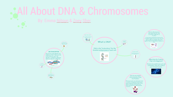 DNA TRANSCRIPTON by emma n on Prezi