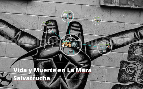 Vida y Muerte en La Mara Salvatrucha by Lyly Ngo on Prezi