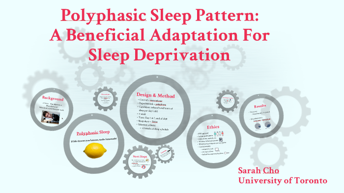 Polyphasic Sleep Pattern: by Sooyoung Cho on Prezi