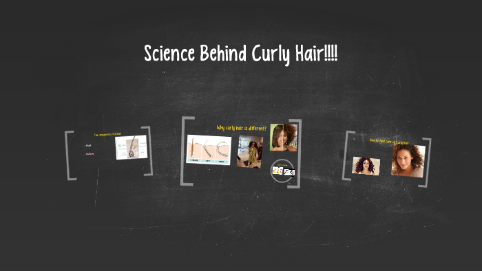 Science Behind Curly Hair!!!! by Sydney Wilkinson on Prezi