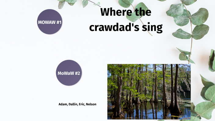 where the crawdad's sing by eric buckner on Prezi