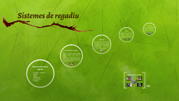 Sistemes de reg by on Prezi