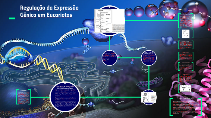 Regulação da Expressão Gênica em Eucariotos by marilene silva on Prezi