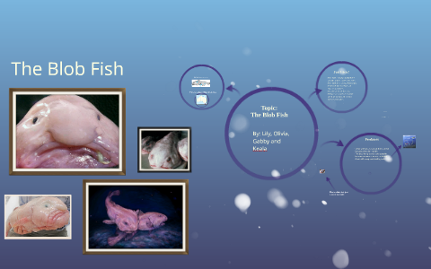 The Blobfish by Olivia Diaz on Prezi