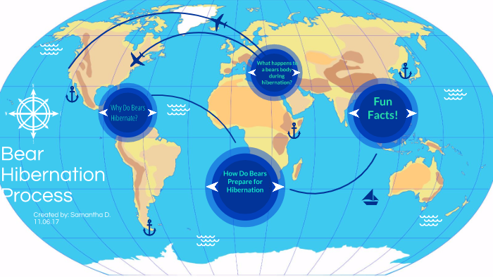 Hibernation Process by Samantha Dawson on Prezi