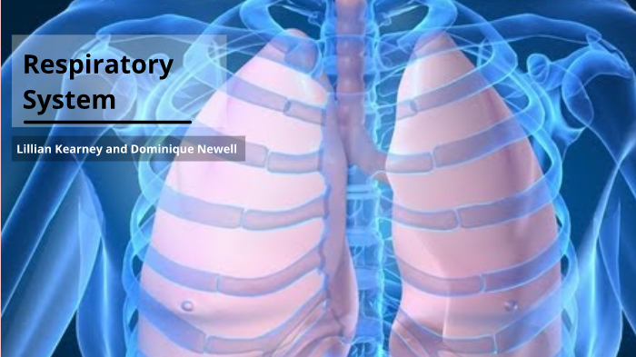 Respiratory System Project by Lillian Kearney on Prezi