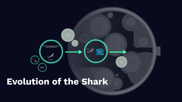 Evolution of the Shark by Jakob Duch on Prezi