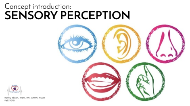 Sensation And Perception
