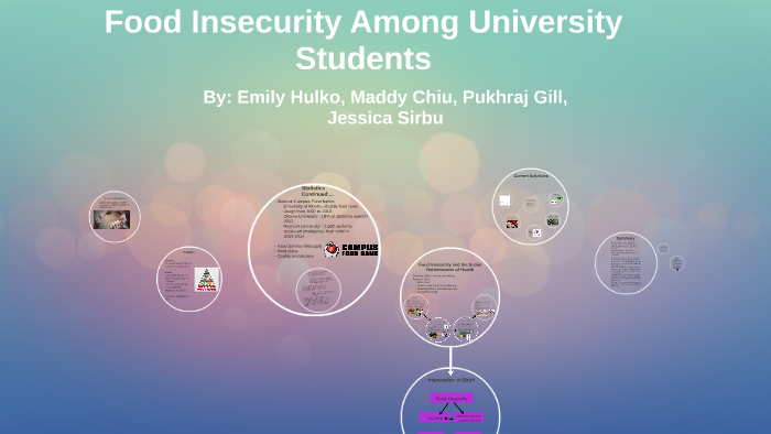 Food Insecurity Among University Students by emily hulko