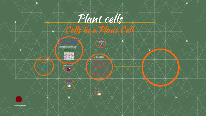 Types of Cells in a Plant Cell by Lexi Miller on Prezi